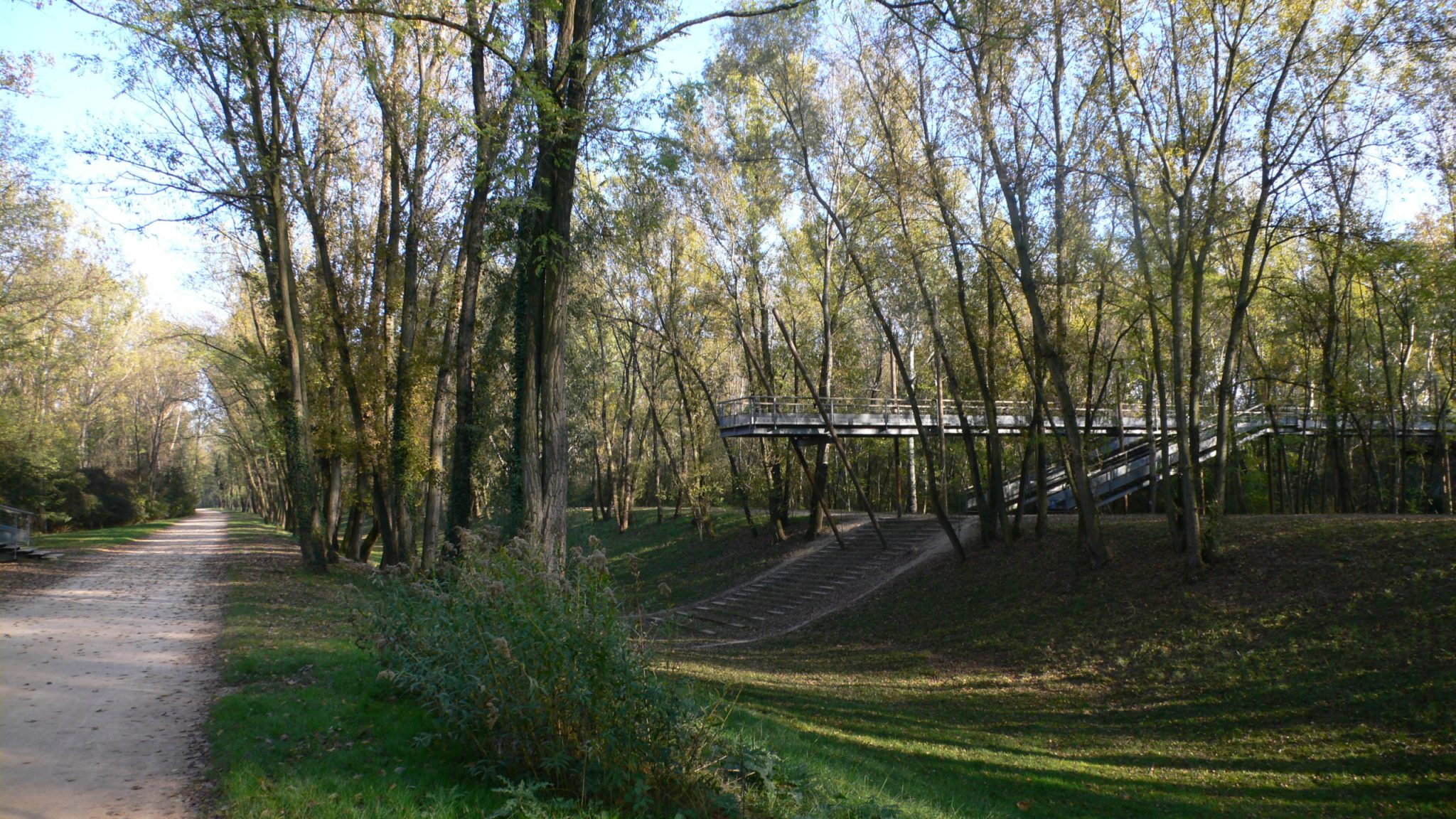 Le parc de la Feyssine : un écrin de nature chargé d'histoire en ville
